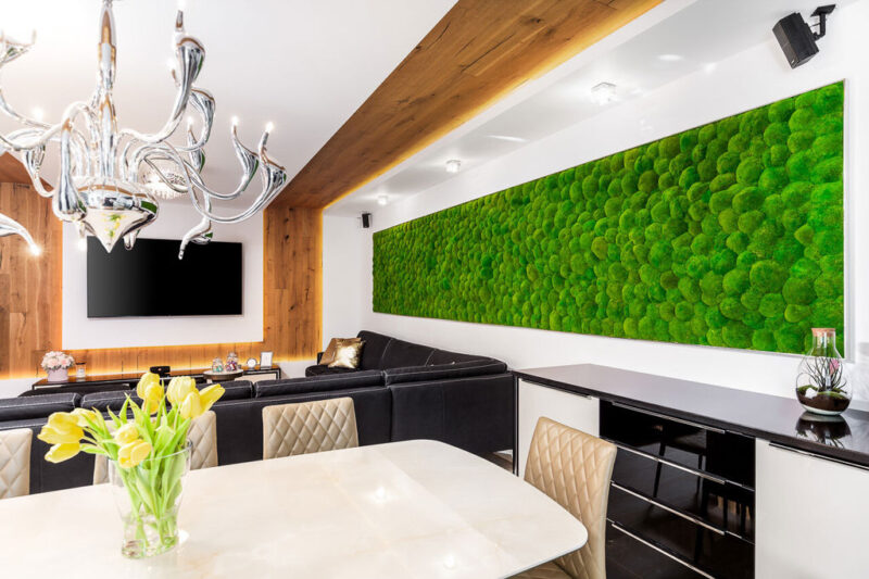 Comanda acum Perete verde Ball Moss cu muschi bombati