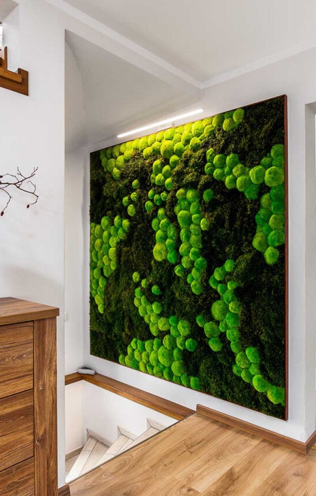 Oferta de produse🍃Pereti licheni si muschi 100% naturali/stabilizati